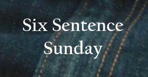 Rhonda Lee Carver: #sixsentencesunday