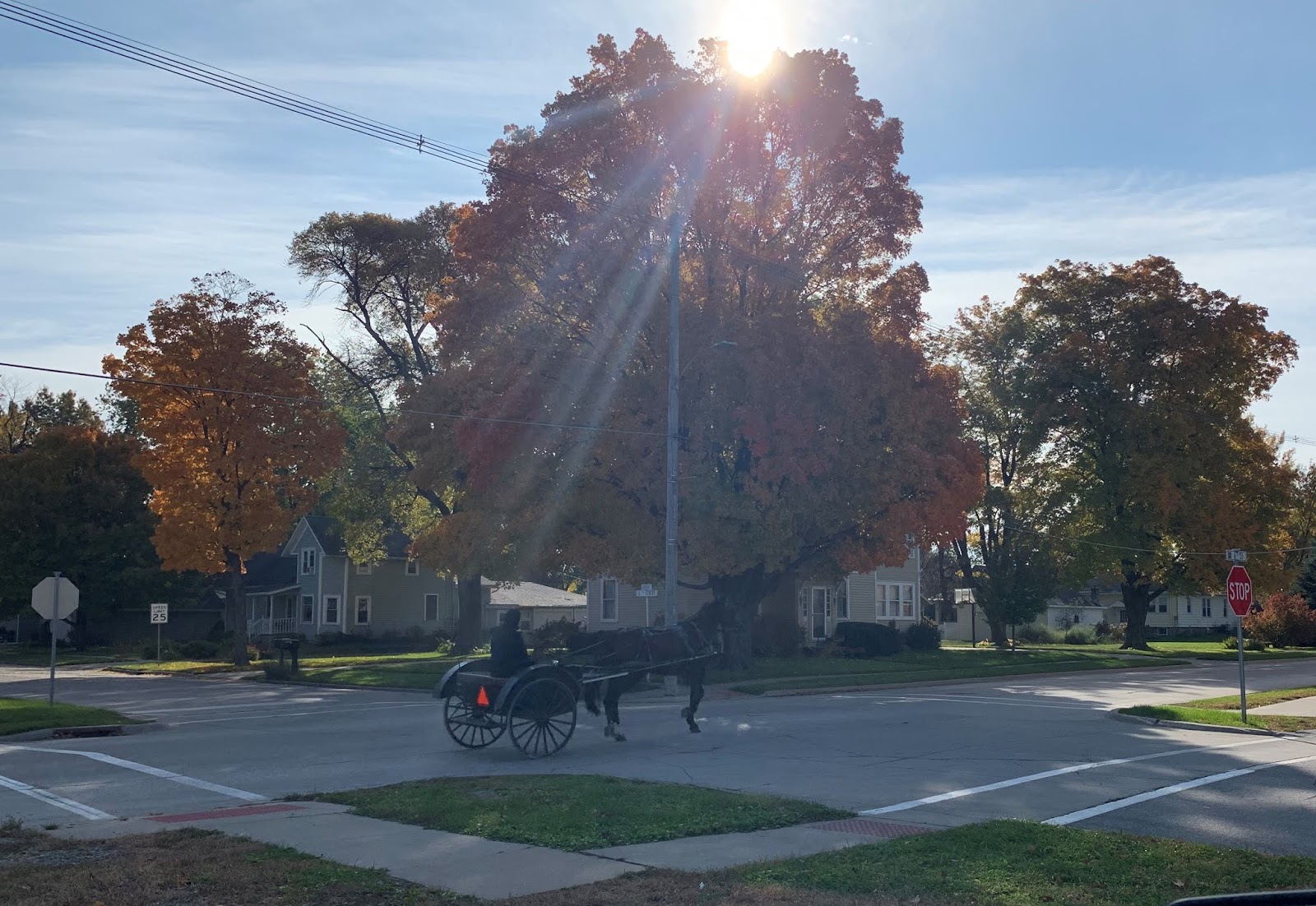 Amish Horses: Amish Farm Fall Tour