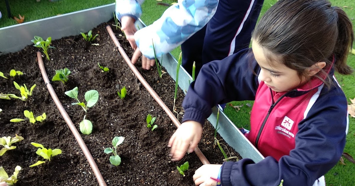 EL HUERTO DE SALESIANOS CARABANCHEL: APORCAR