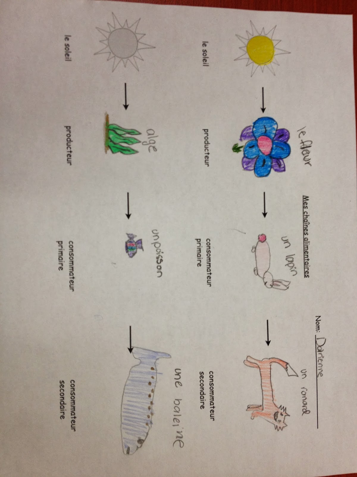 Fantastic Four/Fives in French/Fantastique en 4e/5e en français: Nos ...