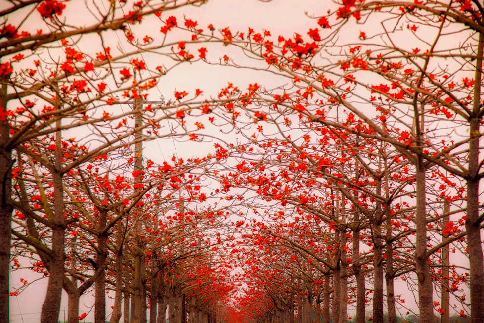 Banco de Imágenes Gratis: 10 fotografías increíbles de reconocidos ...
