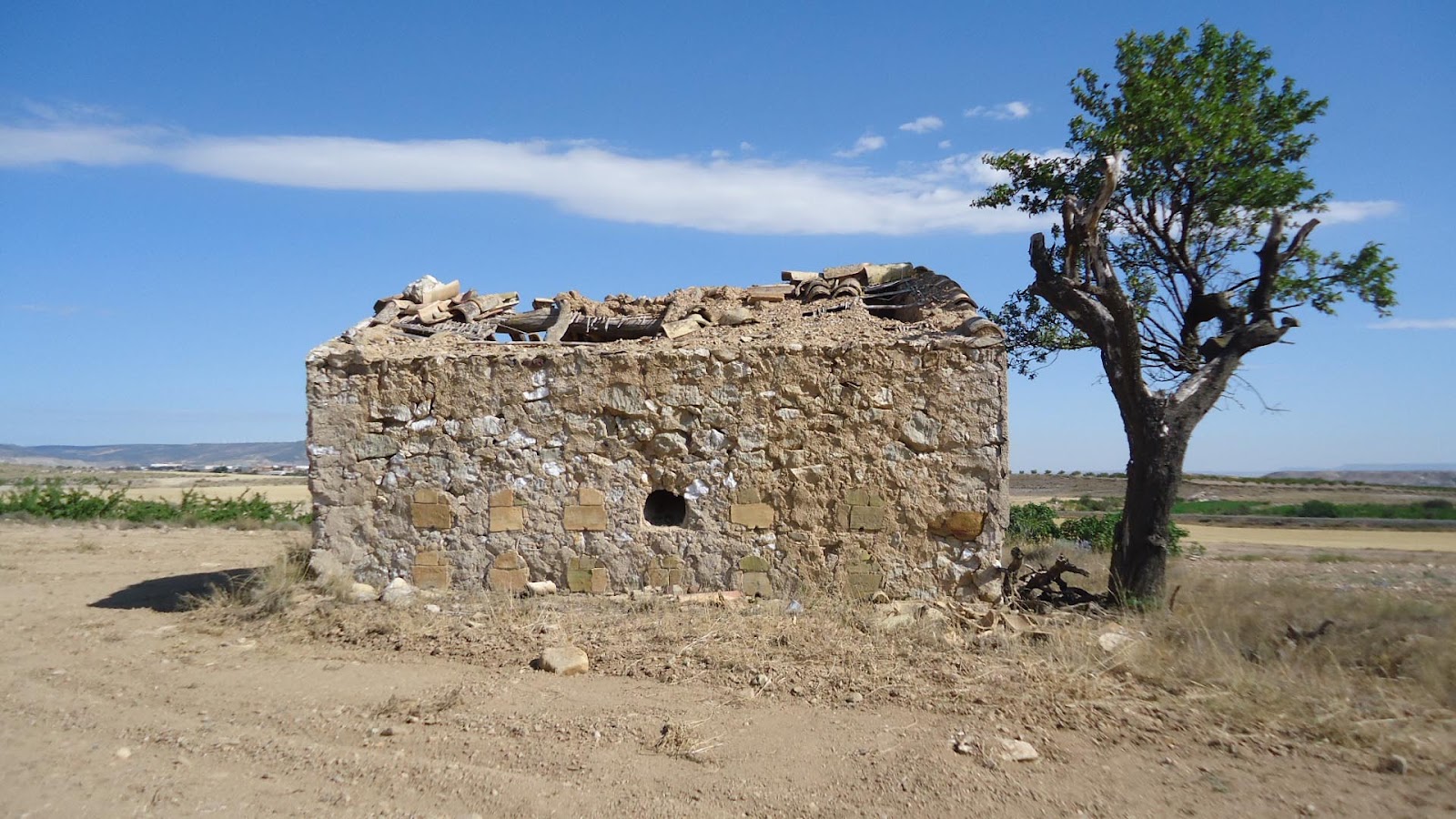 Centro de Estudios Borjanos: Abejar con trampa en Alberite de San Juan