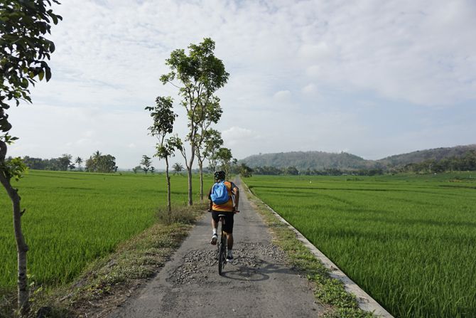 Bentangan Sawah Menghijau, Spot Foto Pesepeda di Kulon Progo ...