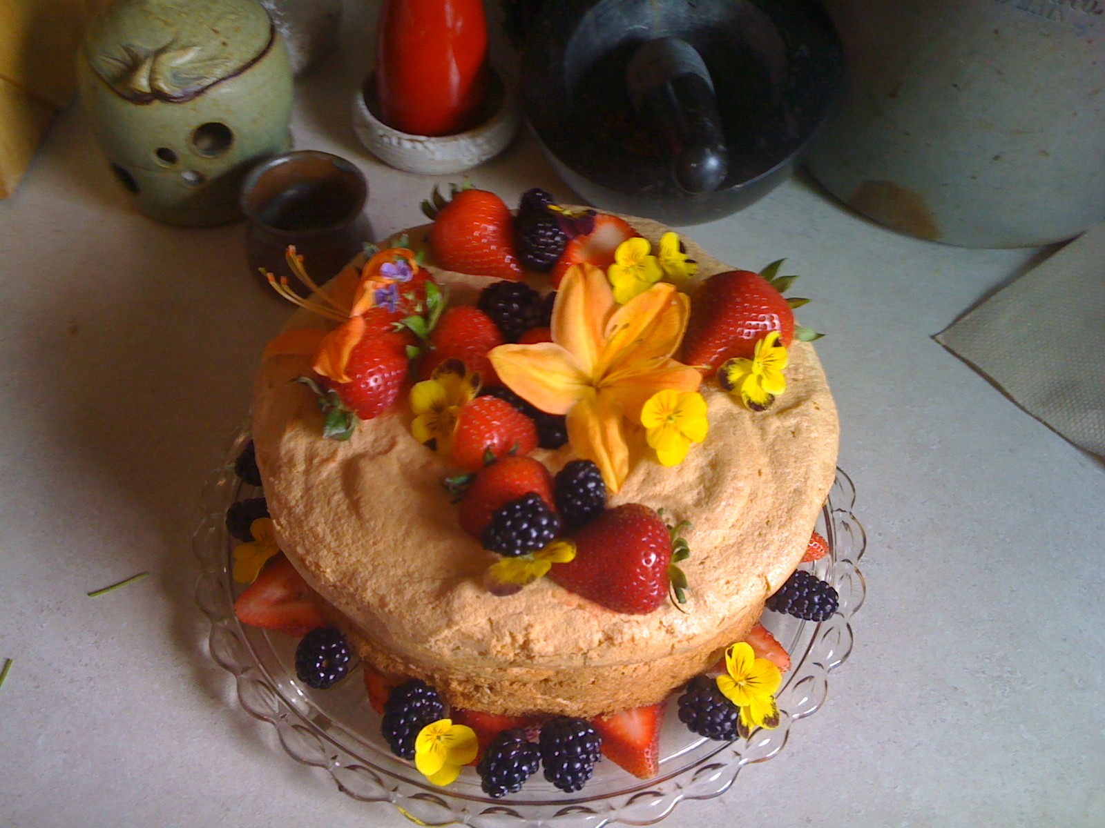 Peanut Butter Pickle Toes: June 2011