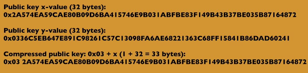 Bitcoin compressed and uncompressed addresses - New Technology