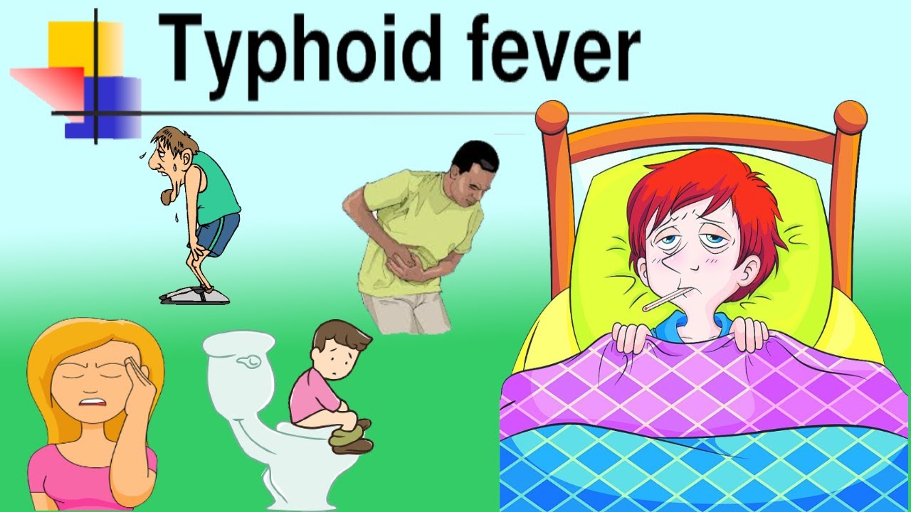 What causes Typhoid fever???