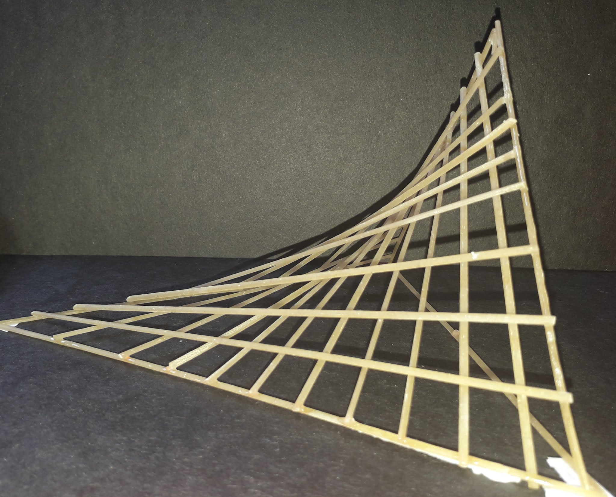 FIGURAS CON MATERIAL ORGÁNICO HYPERBOLIC PARABOLIC 3D