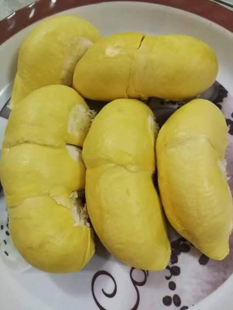 Durian Labu Emas / Yaw Lin Ci / สวนแฮปปี้-ทุเรียนยาวลิ้นจี่ / durianlychee