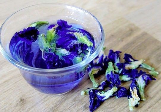 7 Benefits of Drinking Blue Pea Tisane Flower Tea