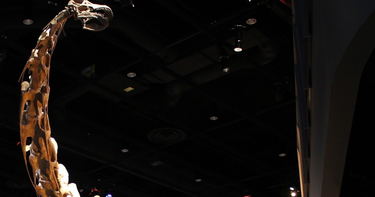 Extinct Animal of the Week: The Alamo