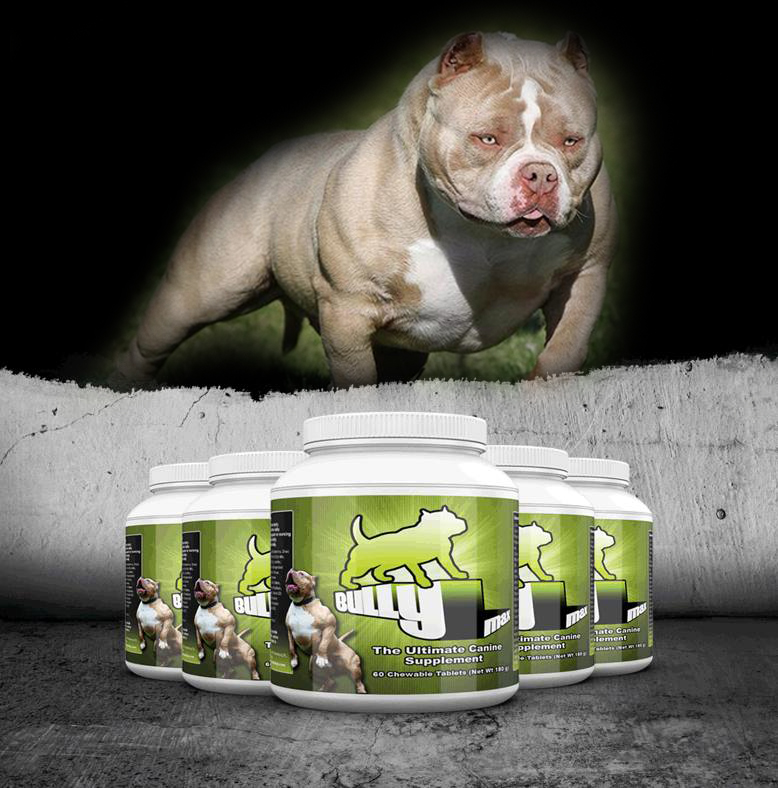 BullyMaxNicaragua: Bully Max