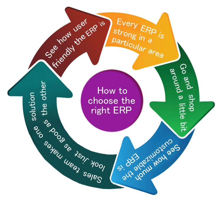 How to choose the right ERP and make sure it performs the way you do ...