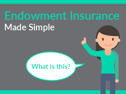 Uzochukwu Mike's Zone: Sum Assured of Insurance Policies: Overview ...