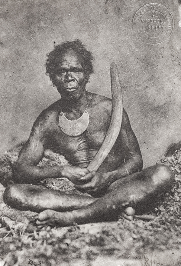 Jamie Derkenne: The Gringai