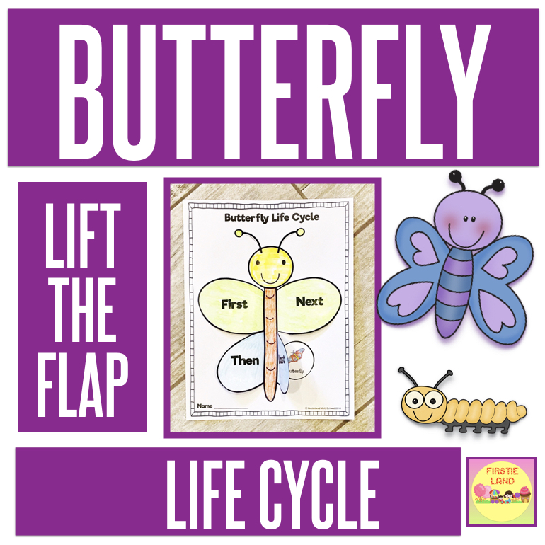 Insect Activities in First Grade - Firstieland - First Grade Teacher Blog