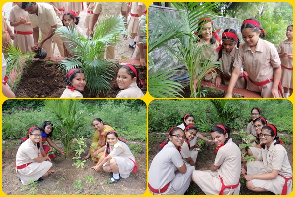 JM , escucha , listen , écoute...: Tree plantation drives