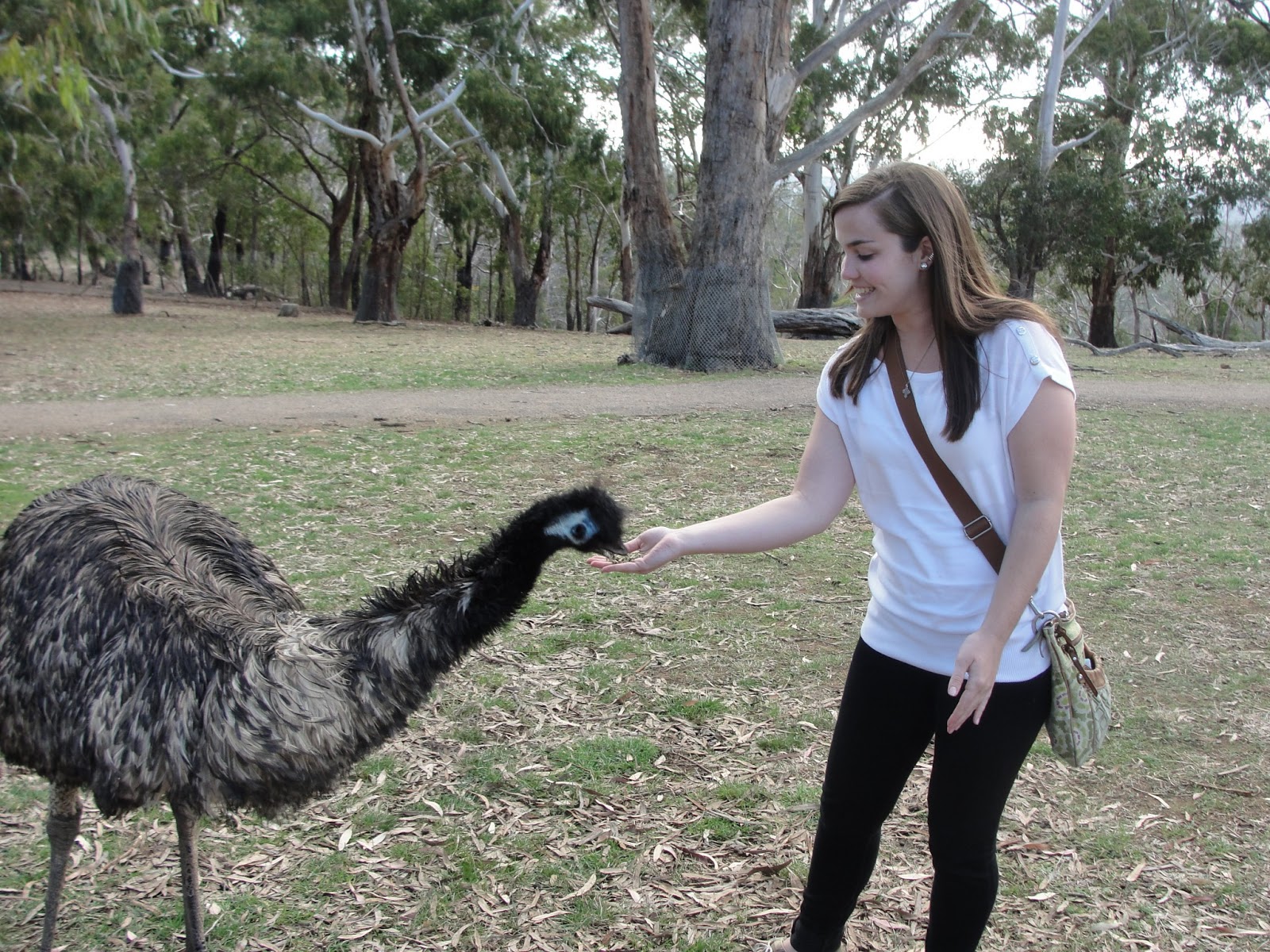 Didgeridoos and Don'ts of Australia: There is No Graceful Way to Hand ...