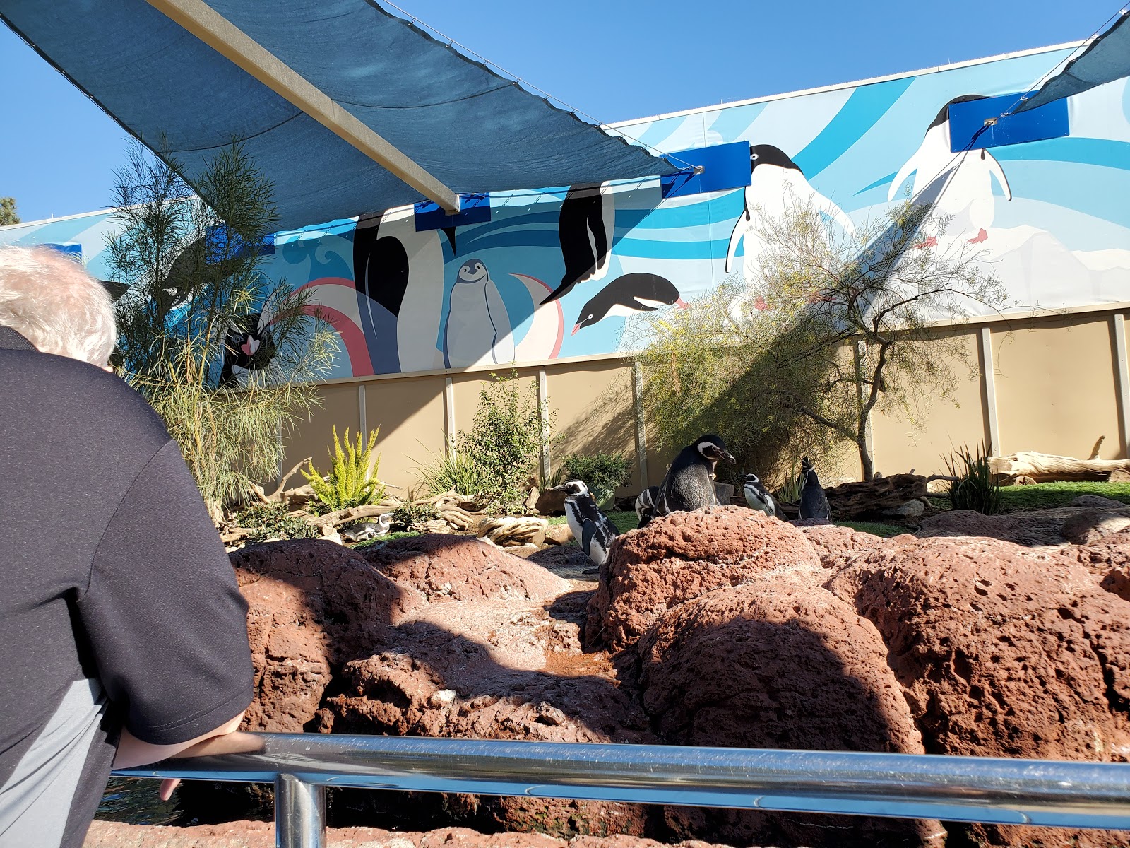 Twelve Makes a Dozen: Go San Diego - SeaWorld and Belmont Park