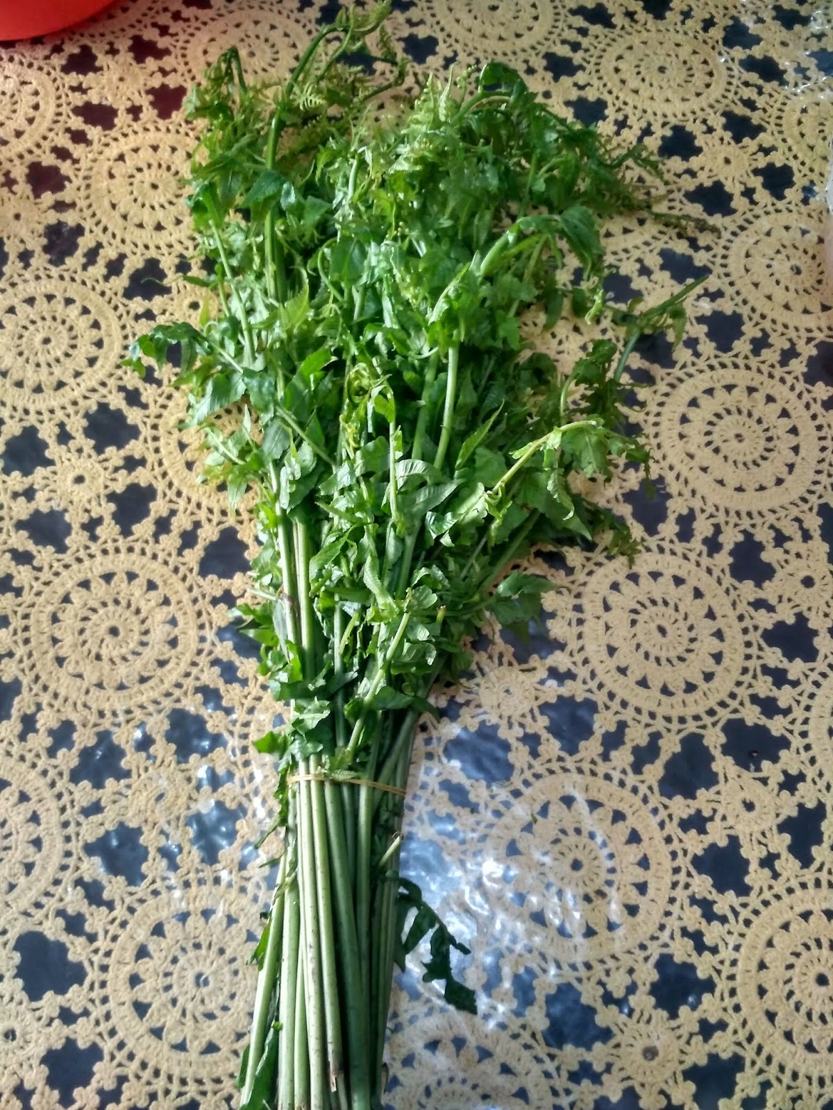 Creamy Spicy Fern Soup