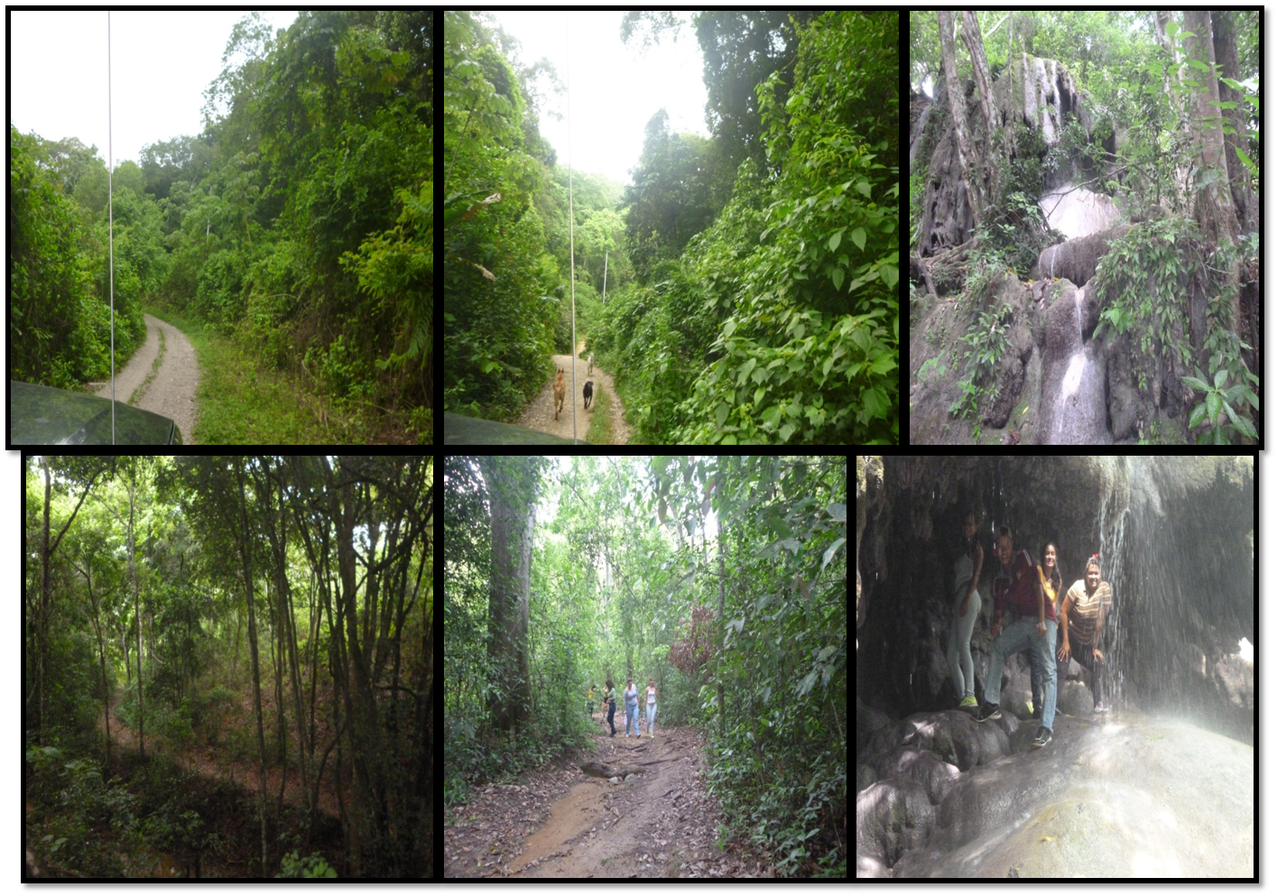 Patrimonio Historico-Cultural de la Parroquia Sarare: Patrimonio ...