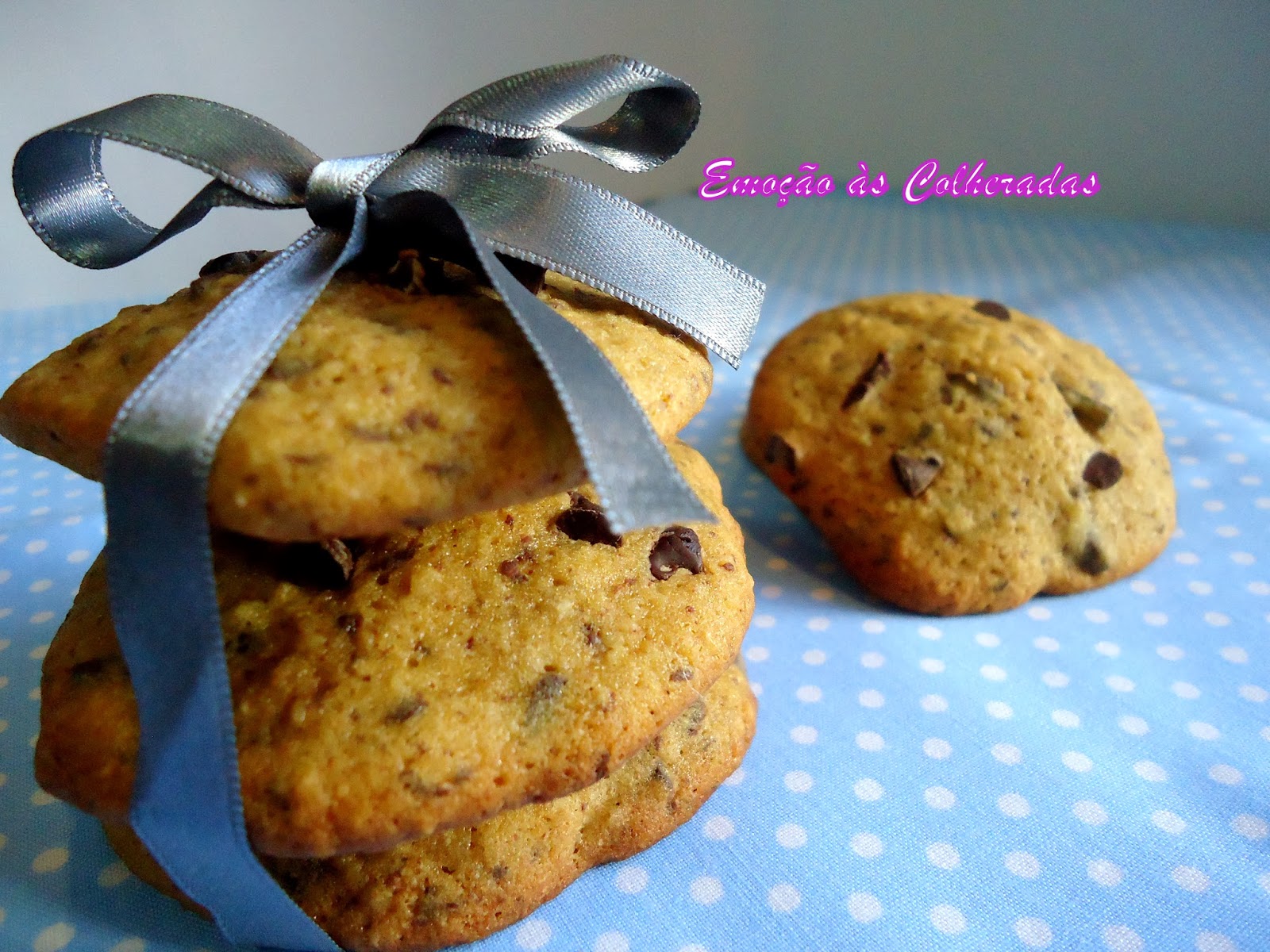 Emoção às Colheradas: Biscoitos de Aveia e Chocolate