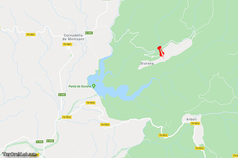 Birding Catalunya: Ocells a Siurana (Cornudella de Montsant, Priorat)