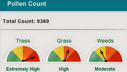 Healthy Food & Life: Natural Remedies to Relieve Hay Fever and Allergies