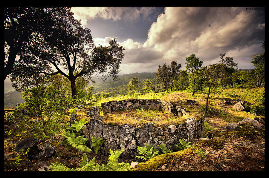 Nature Wallpapers: 09/21/11