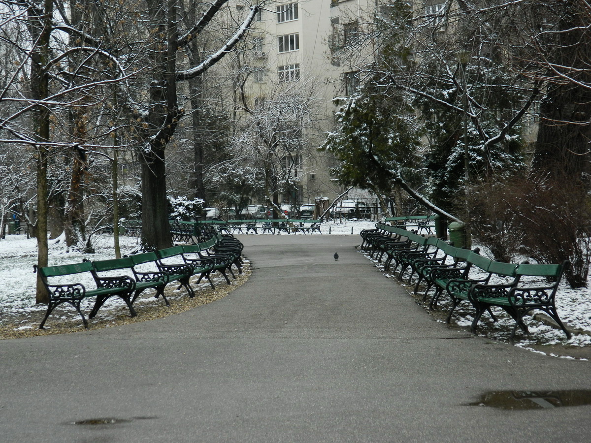LA MULTI ANI, ROMANIA!: Banci in Parcul Cismigiu
