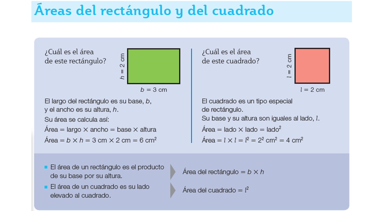El Blog del "Profe" Juan (Mates): Área del rectángulo y del cuadrado