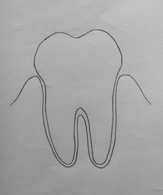 DRAW IT NEAT: How to draw tooth diagram labeled.