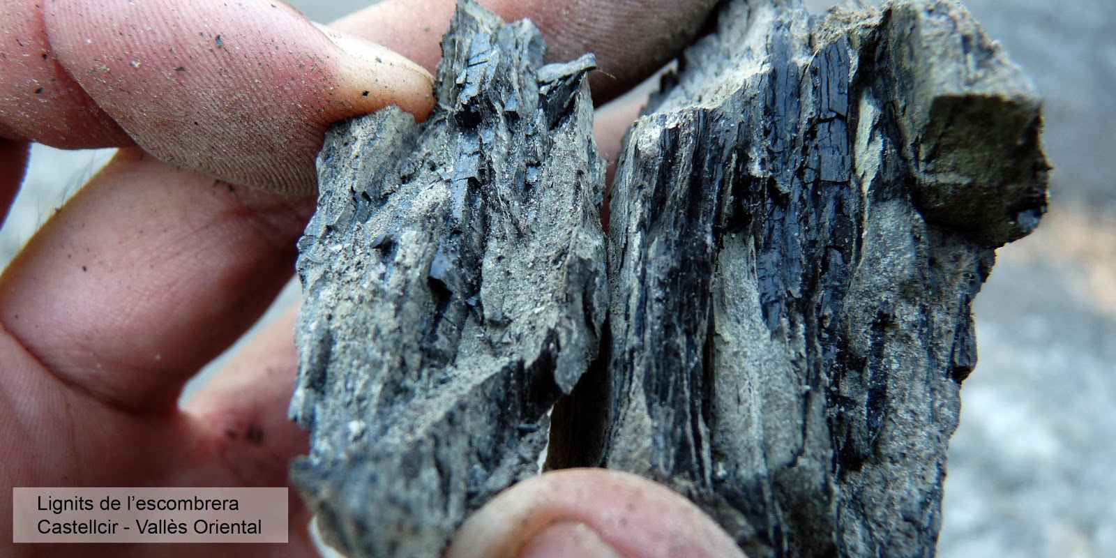 MINERALCAT: Mina de Lignit de Castellcir