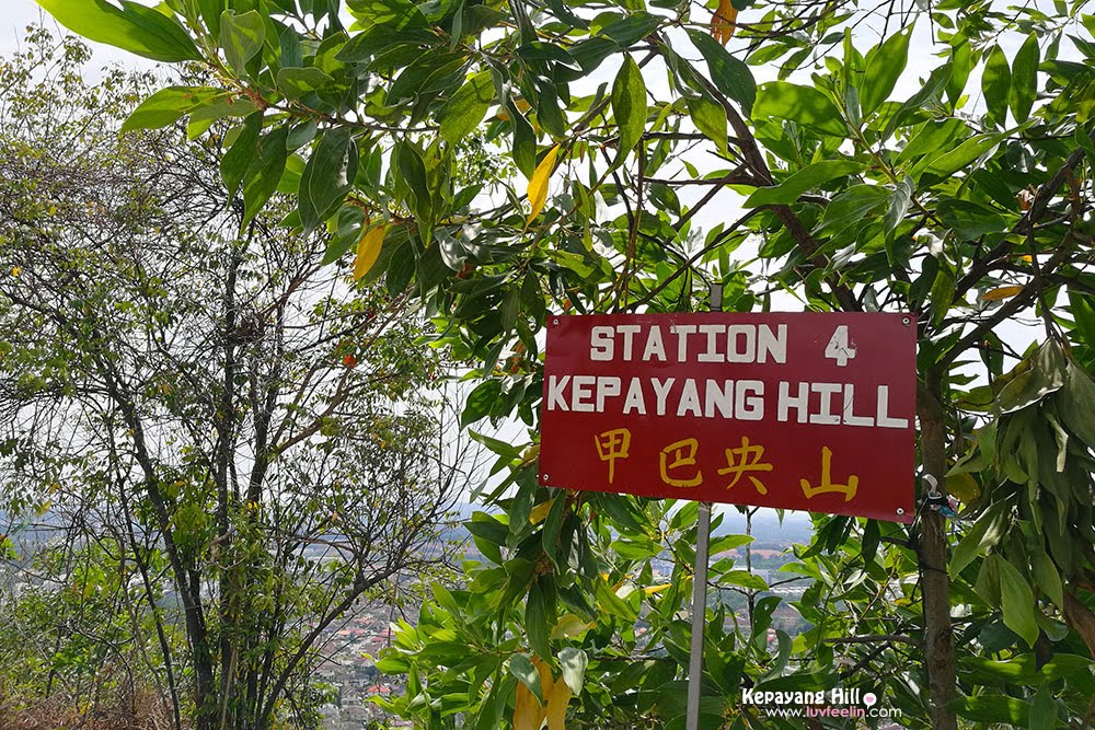 Kepayang Hill 芙蓉【印度山】登高远望赏美景 - 乐飞翎 ♥ LUVFEELIN