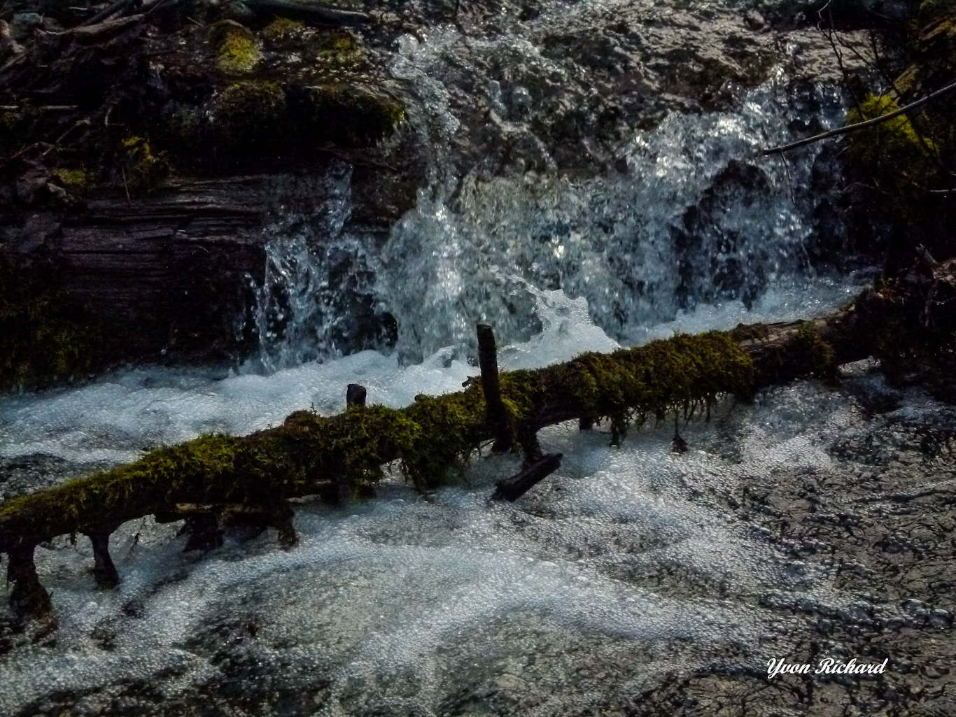 Images d'un retraité: File l'eau, au gré du ruisseau.