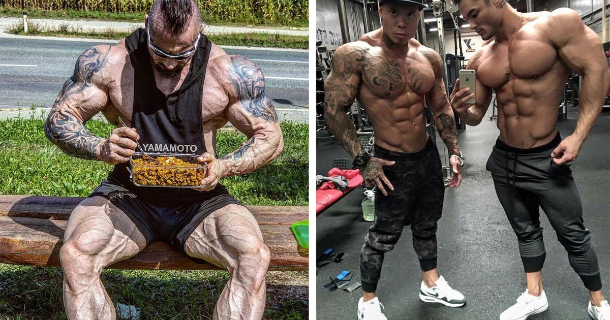 3 Tips for Clean Bulking for the Hardgainer - SHREDDEDFIT