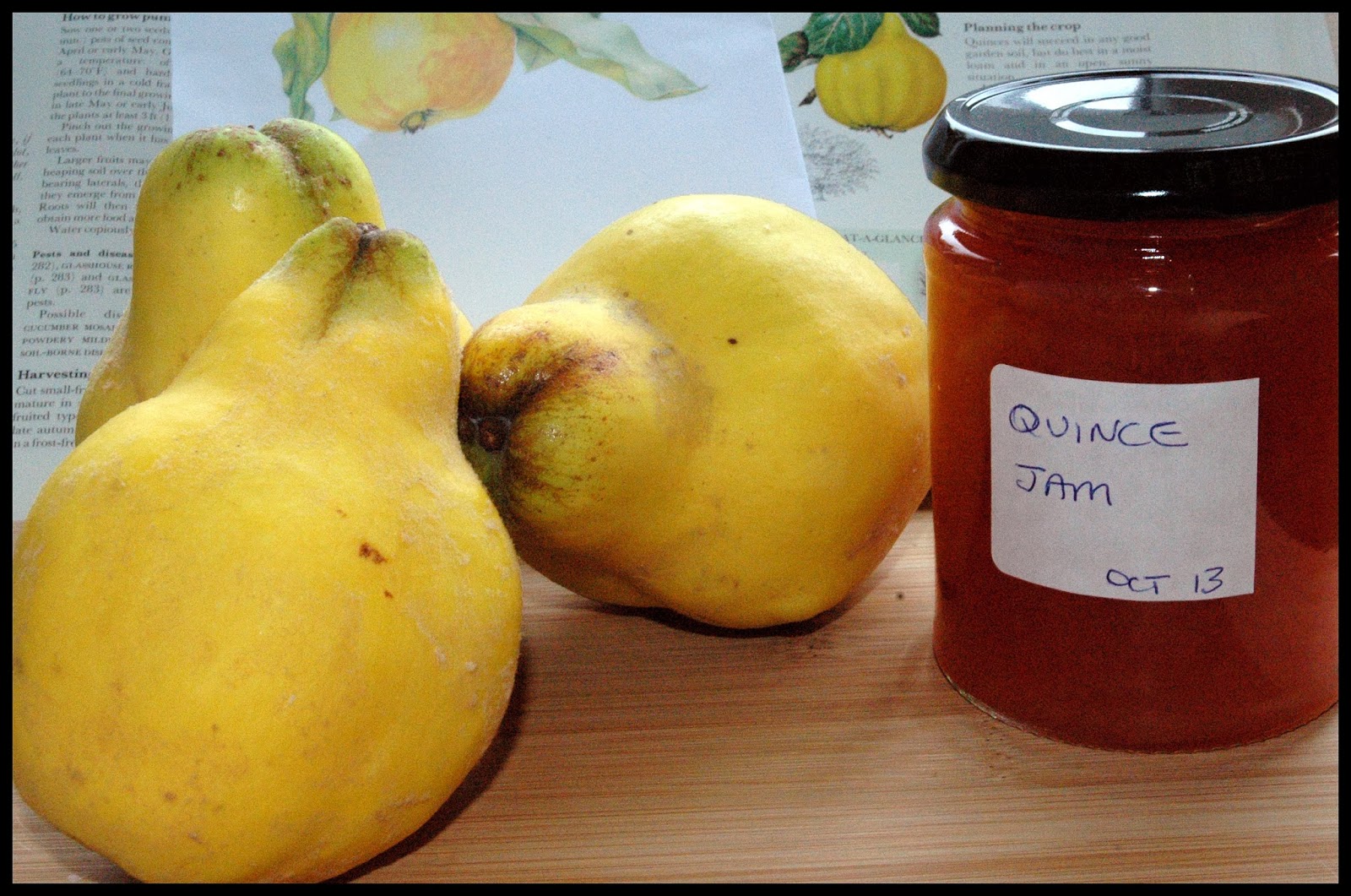 Driftwood Vegans: Quintessentially Quince