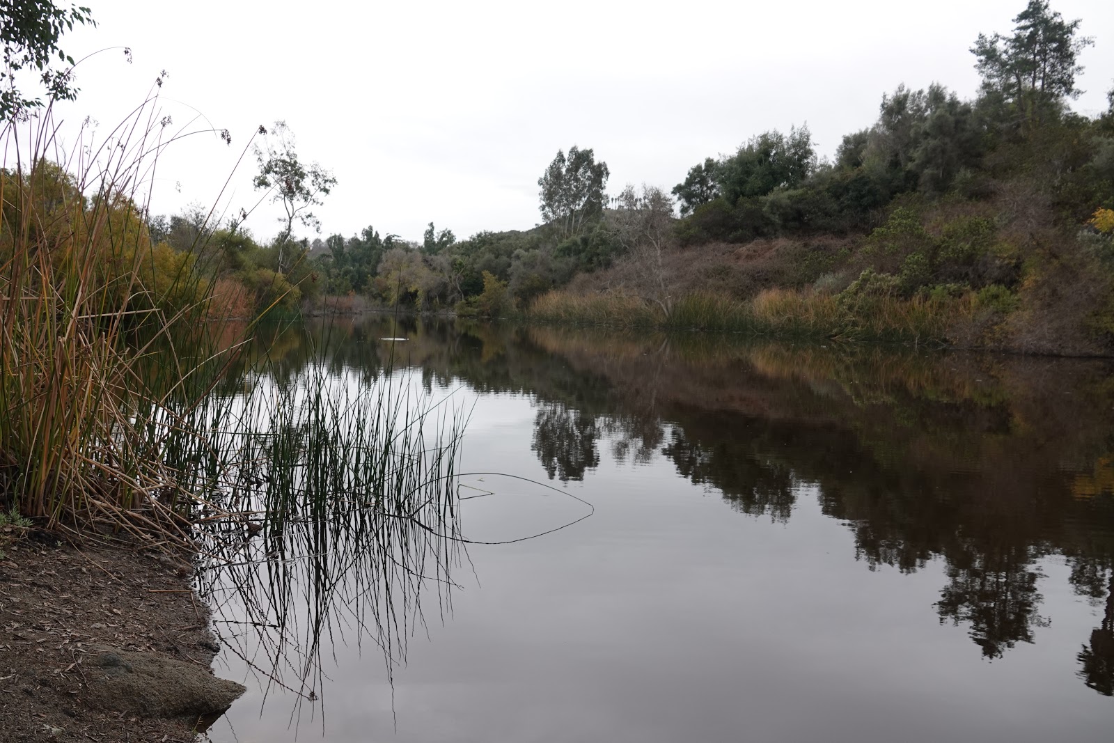 Looking for Ponds: San Marcos Jacks