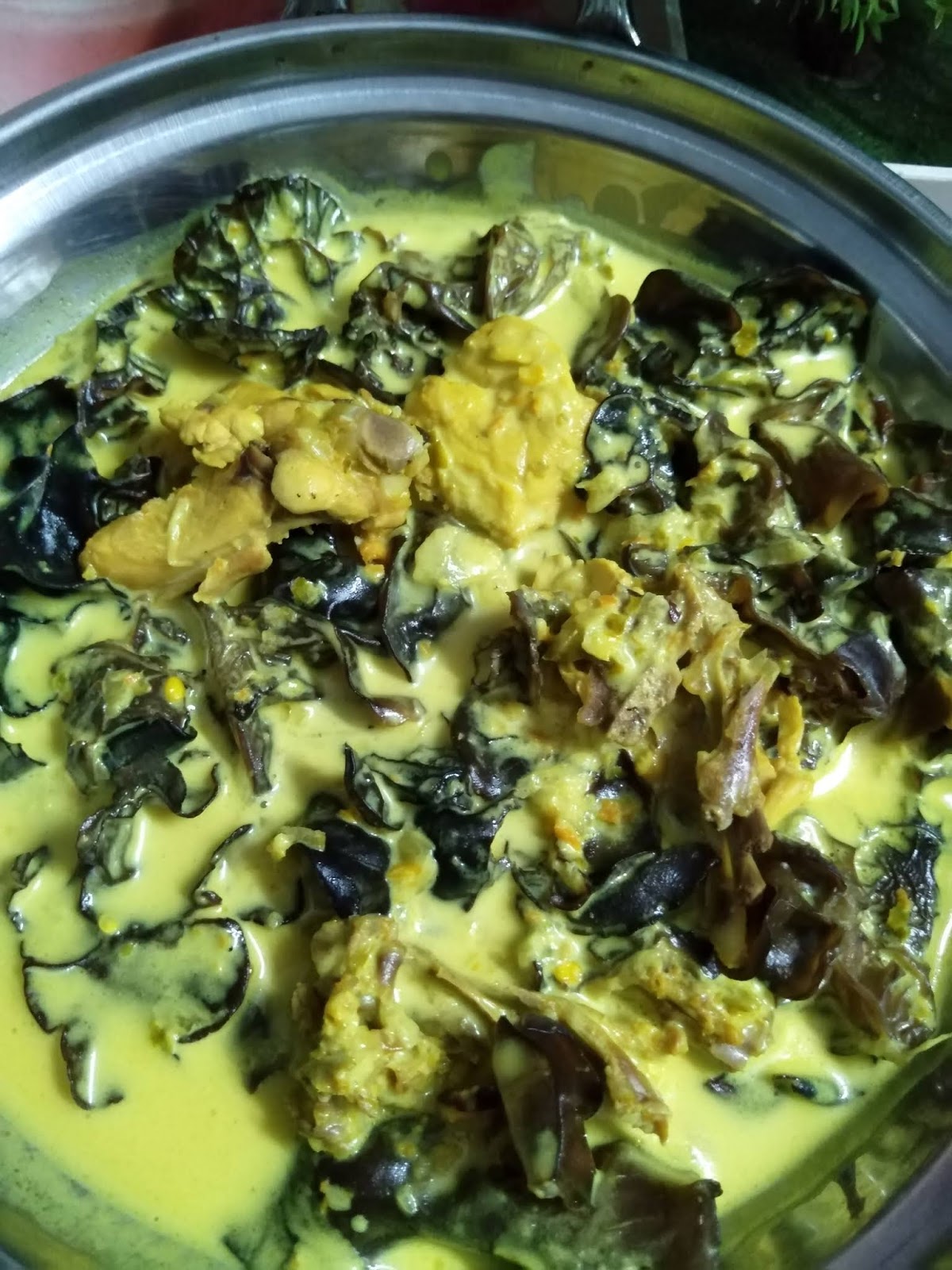 Cara Nak Masak Cendawan Telinga Kera - MarquistinGoodman