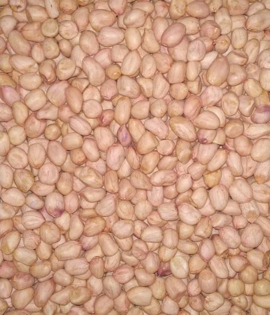 Peeled and Unpeeled Groundnut For Sale In Large Quantity
