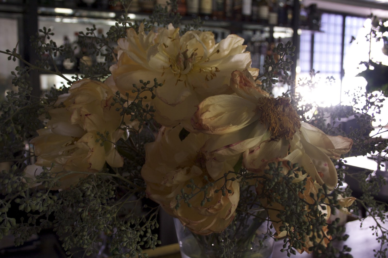 ARIEL DEARIE FLOWERS: Peonies, Before and After