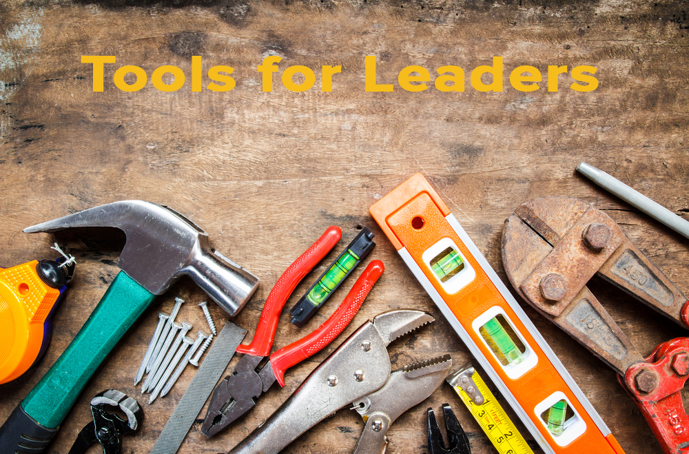 LSA Global Insights Newsletter: Leadership Toolkit