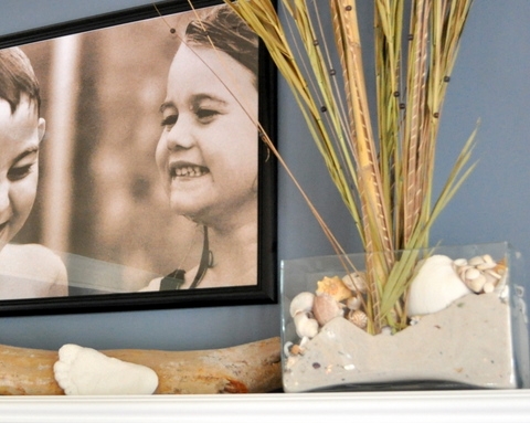 40 Seashell Collection Display Ideas | Shell Decor
