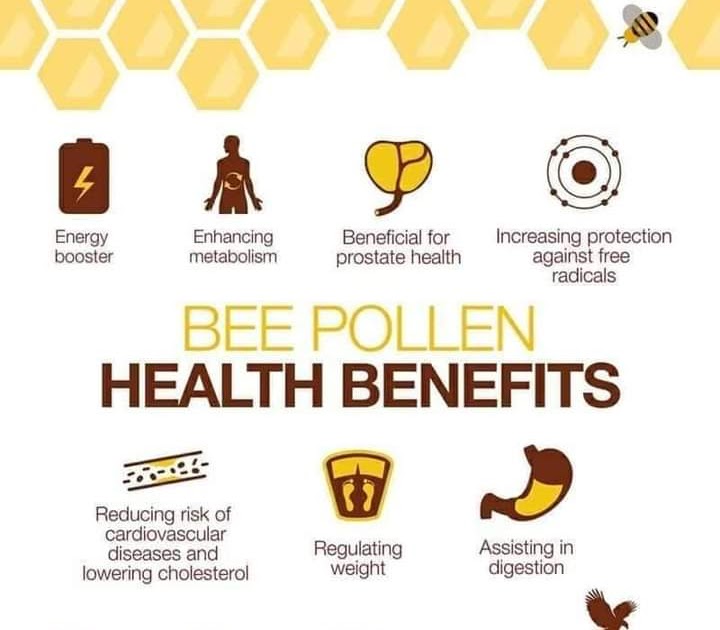 KHASIAT DAN MANFAAT BEE POLLEN PLUS