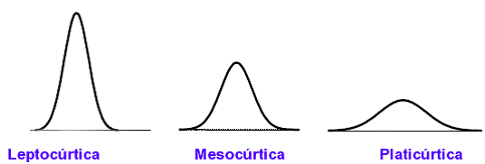 Tesis e Investigaciones SAS de CV