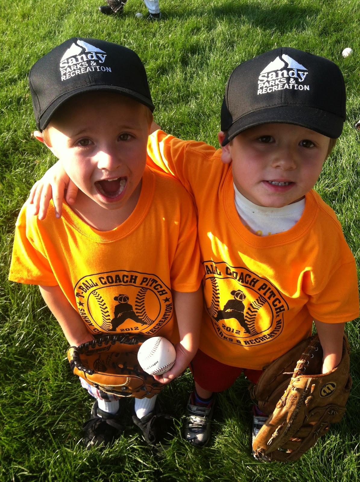 Where My Wild Things Are: go big orange {t-ball}