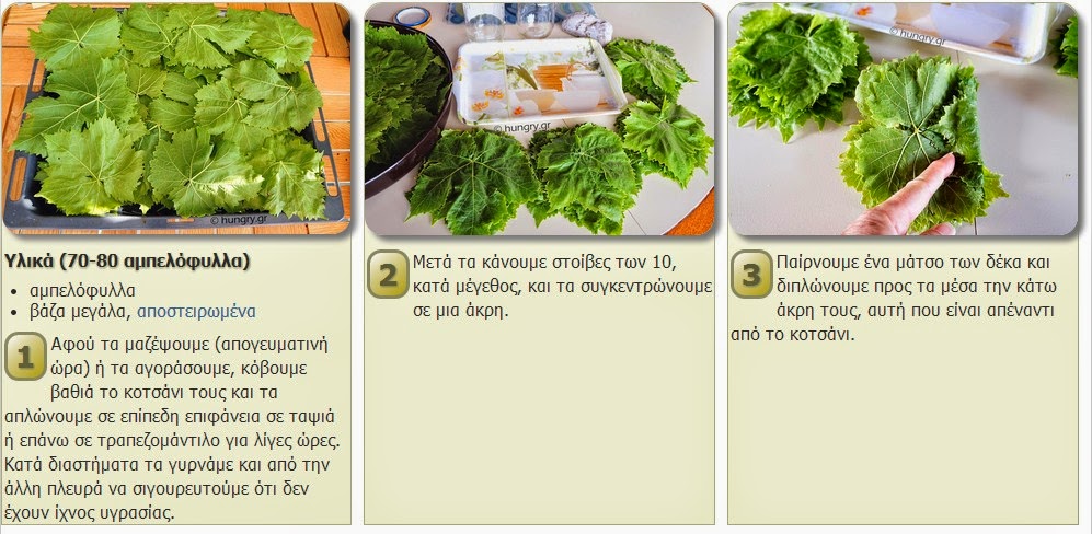 ΣΥΝΤΗΡΗΣΗ ΑΜΠΕΛΟΦΥΛΛΩΝ