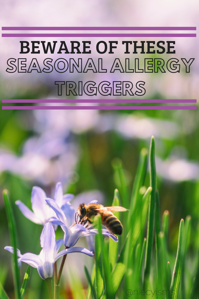 Beware of These Seasonal Allergy Triggers