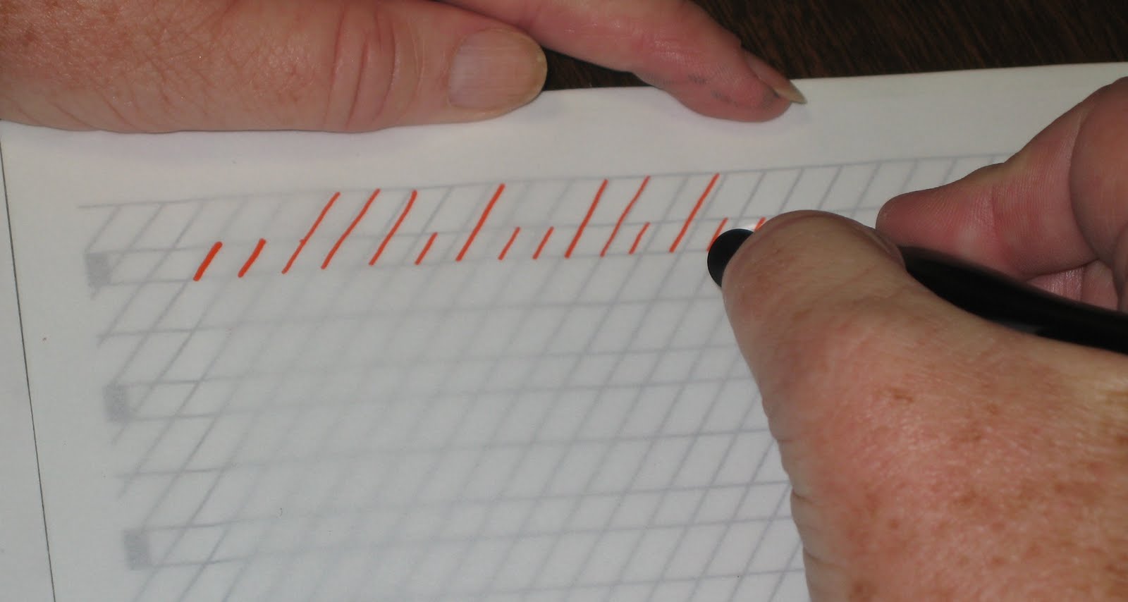 DeAnn Singh Calligraphy: November 18, 2013 - Pointed Pen Styles Class ...