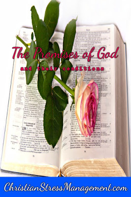 Christian Stress Management: The Promises of God for Protection