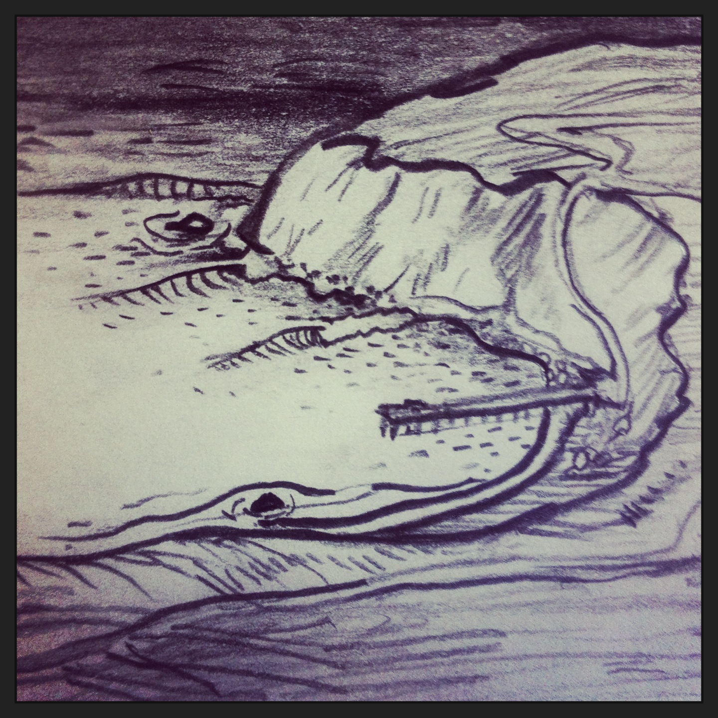 Ricky Blake Fine Art